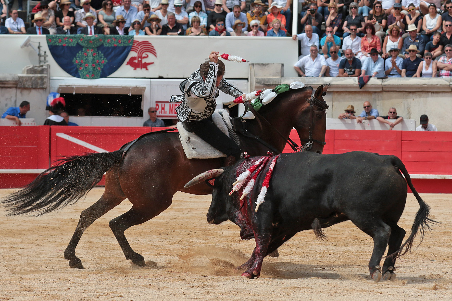Nimes (Francia), lunes 21 de mayo de 2018. Festejo de rejones matinal ...