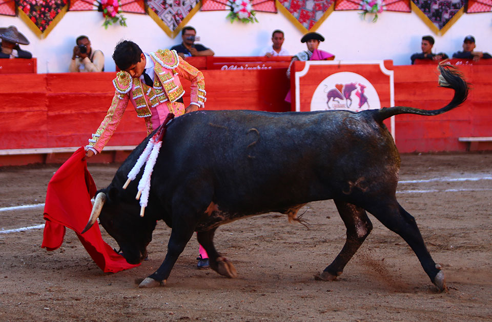 Autlán de la Grana (México). Sábado 2 de marzo de 2019. Toros de Marrón ...