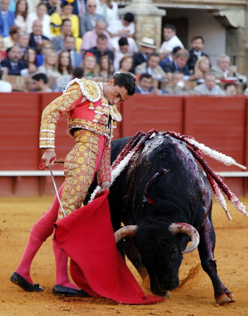 Paco Ureña, el torero de los tragos fuertes