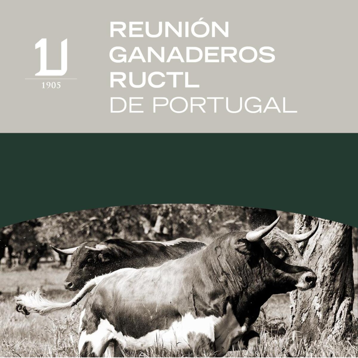 La Real Unión De Criadores De Toros De Lidia Se Reunirá En Portugal Con
